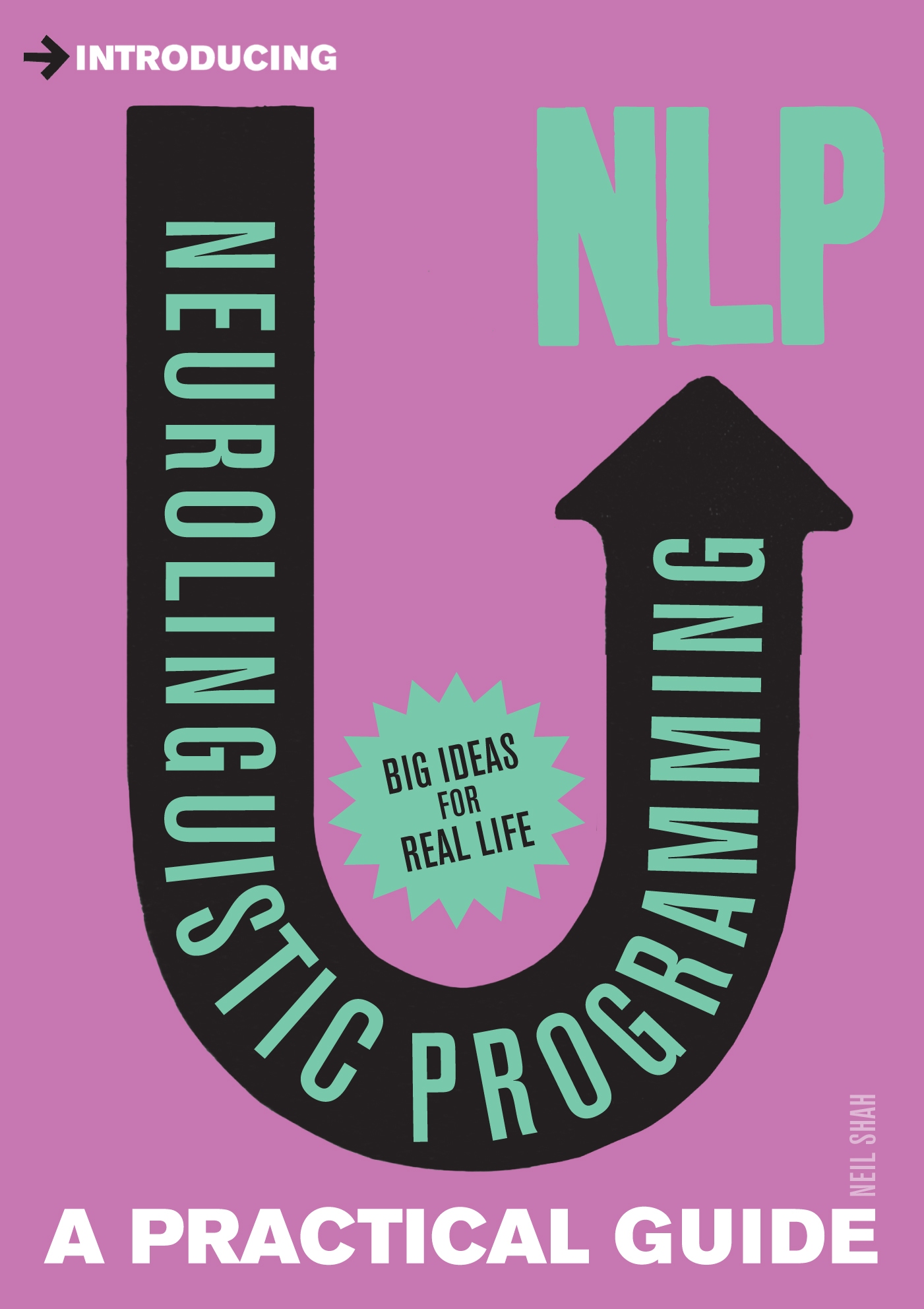 Introducing Neurolinguistic Programming (NLP) – Introducing Books – Graphic Guides